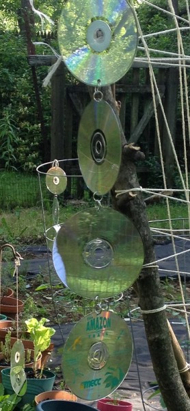 Reusing old CD's - How to keep birds out of the garden - 1 More Than 2 ...